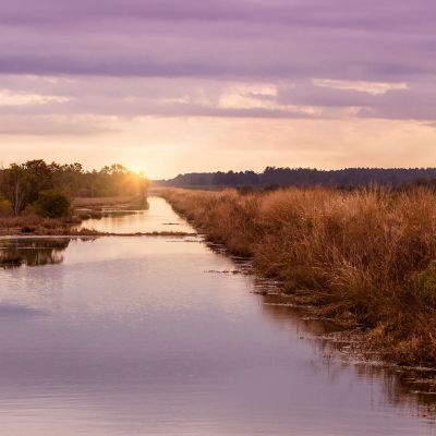 Photogallery Bird Wildlife Macro Landscapes People Events